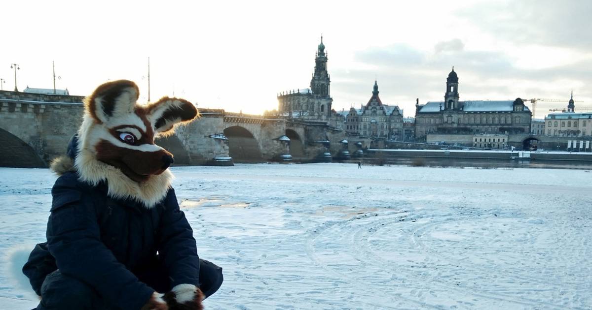 WildSpotWorks - Price Calculator